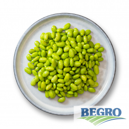 Begro Broad beans fine | Dicofoods