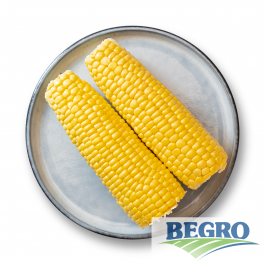 Begro Corn cobs | Dicofoods