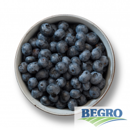 Begro Blueberries | Dicofoods