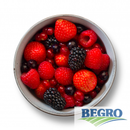 Begro Mix berries | Dicofoods